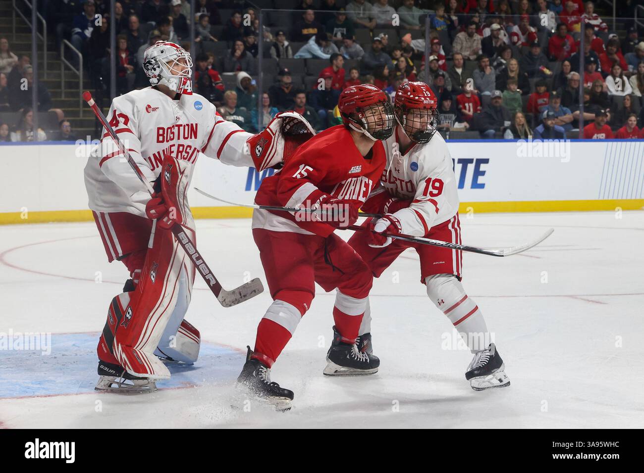 TOLEDO, OH - MARCH 29: Cornell Big Red forward Tyler Catalano (15 ...