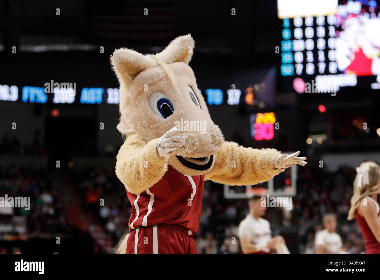Oklahoma mascot Boomer performs during the second half between UConn ...