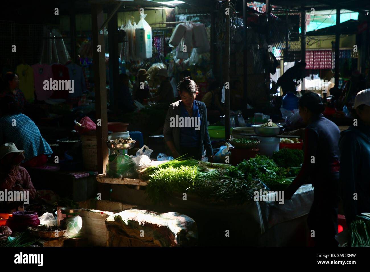 Wet Markets, Vietnam Stock Photo - Alamy
