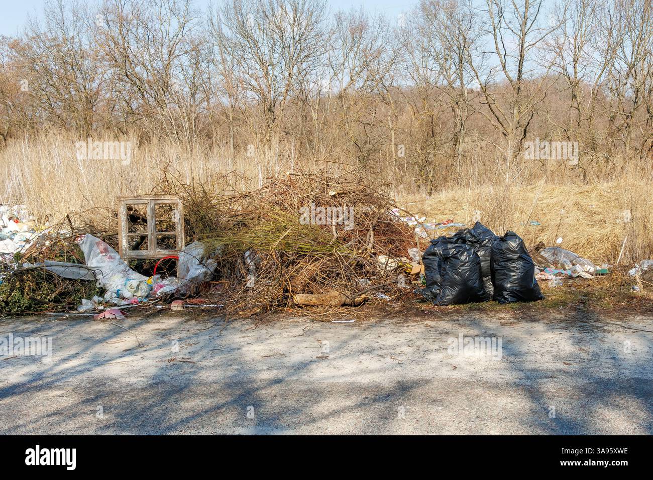 An illegal dumping site in a natural area, filled with plastic bags ...