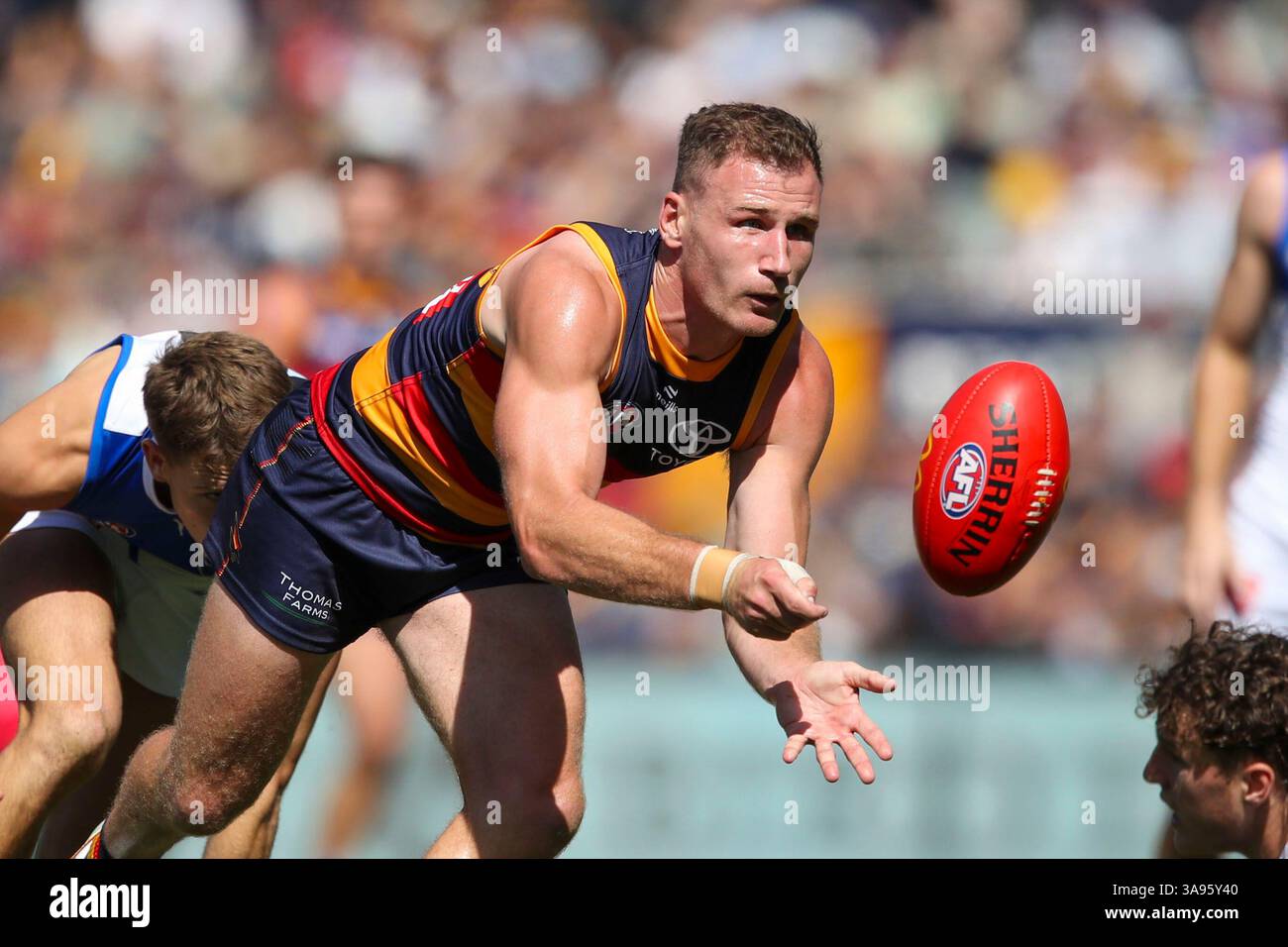 Adelaide, Australia. 30th Mar, 2025. Rory Laird of the Crows during the ...