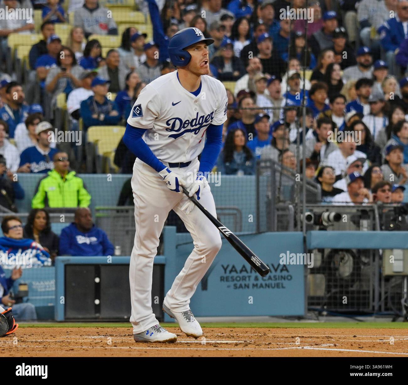Los Angeles Dodgers first baseman Freddie Freeman hits a solo home run ...