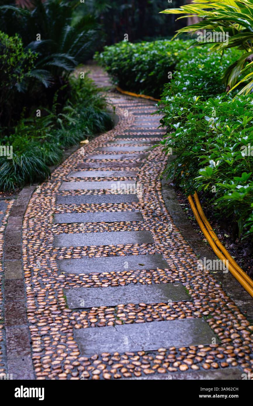 Enchanted Forest Pathway: Sun-Dappled Trail Winding Through Emerald ...
