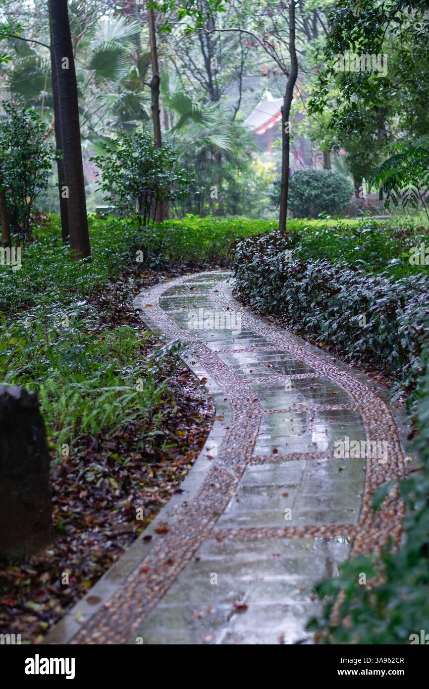 Enchanted Forest Pathway: Sun-Dappled Trail Winding Through Emerald ...