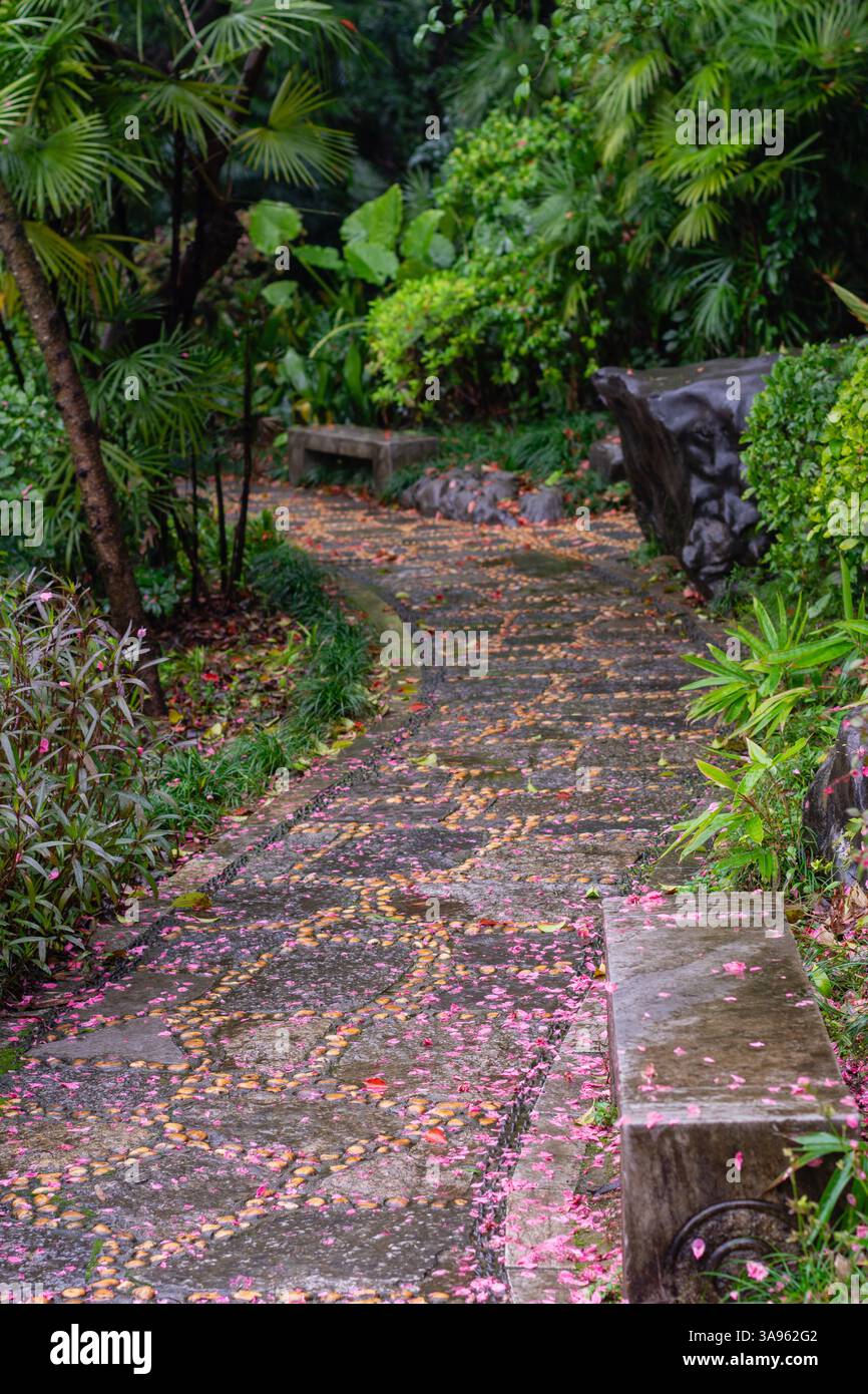 Guilin botanical gardens hi-res stock photography and images - Alamy