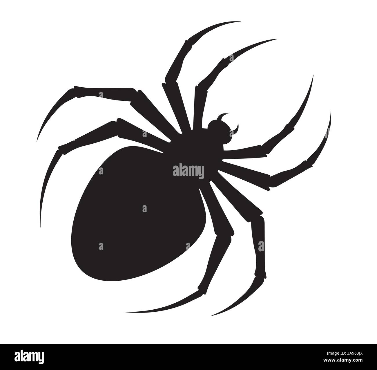 Legs insect insects long Cut Out Stock Images & Pictures - Alamy