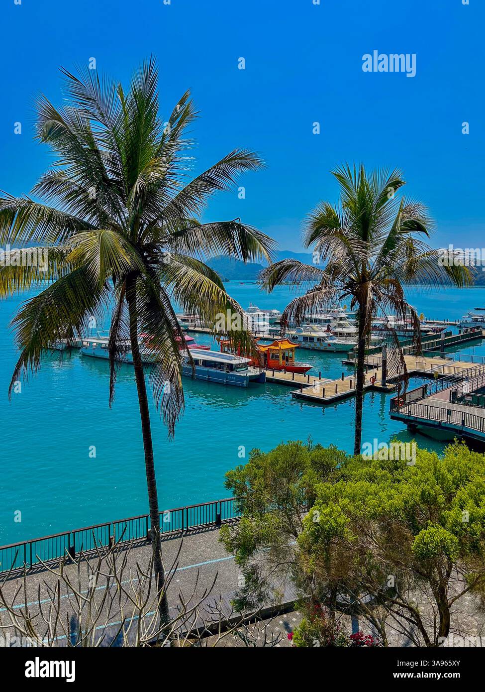 Yuchi, Taiwan, Sun Moon Lake, Tourist Boats, Palm Trees on Port, Scenic ...
