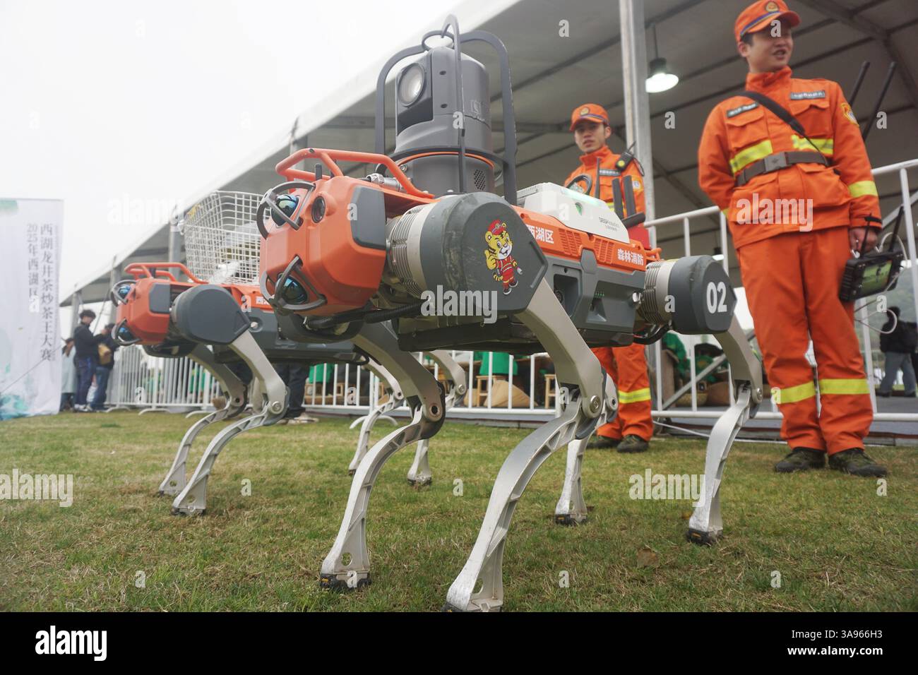 Forest fire fighting intelligent robot dogs are displayed at Longwu tea ...
