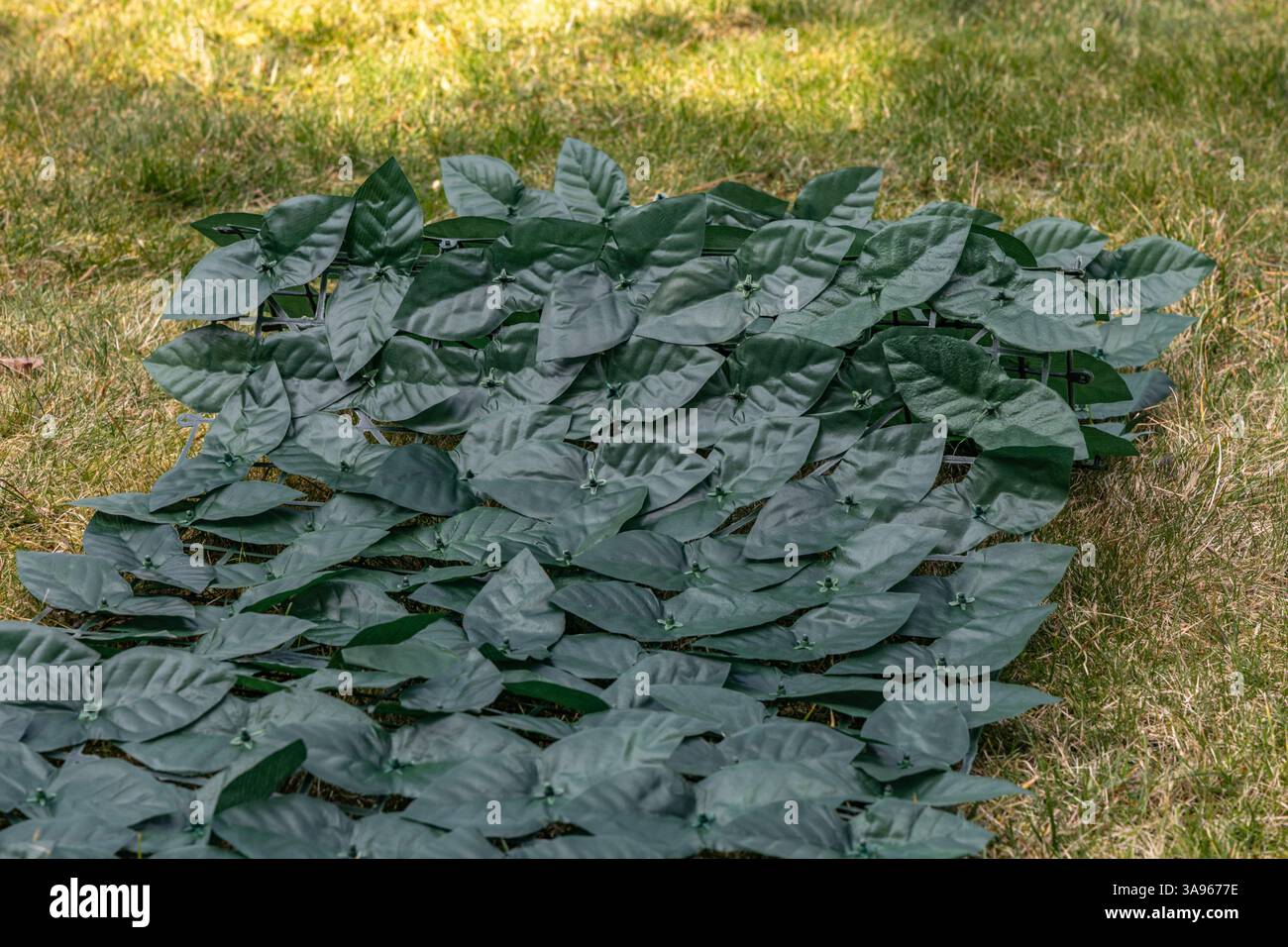 Preparing for the installation of artificial leaf netting on a fence ...