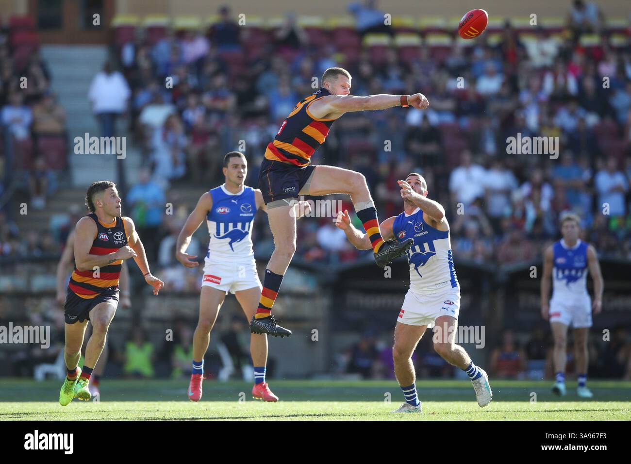 Adelaide, Australia. 30th Mar, 2025. Reilly O'Brien of the Crows and ...