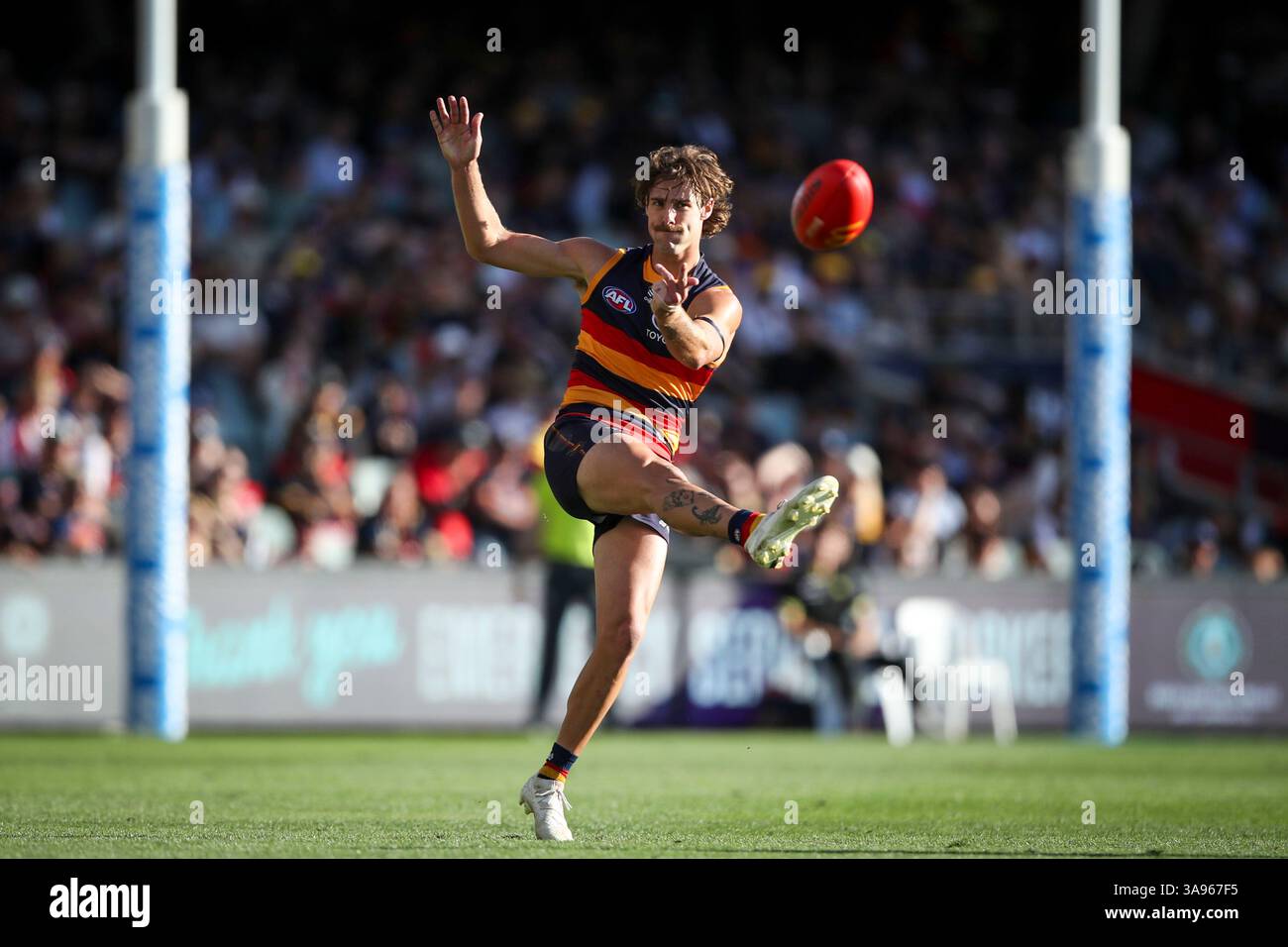 Adelaide, Australia. 30th Mar, 2025. James Peatling of the Crows during ...