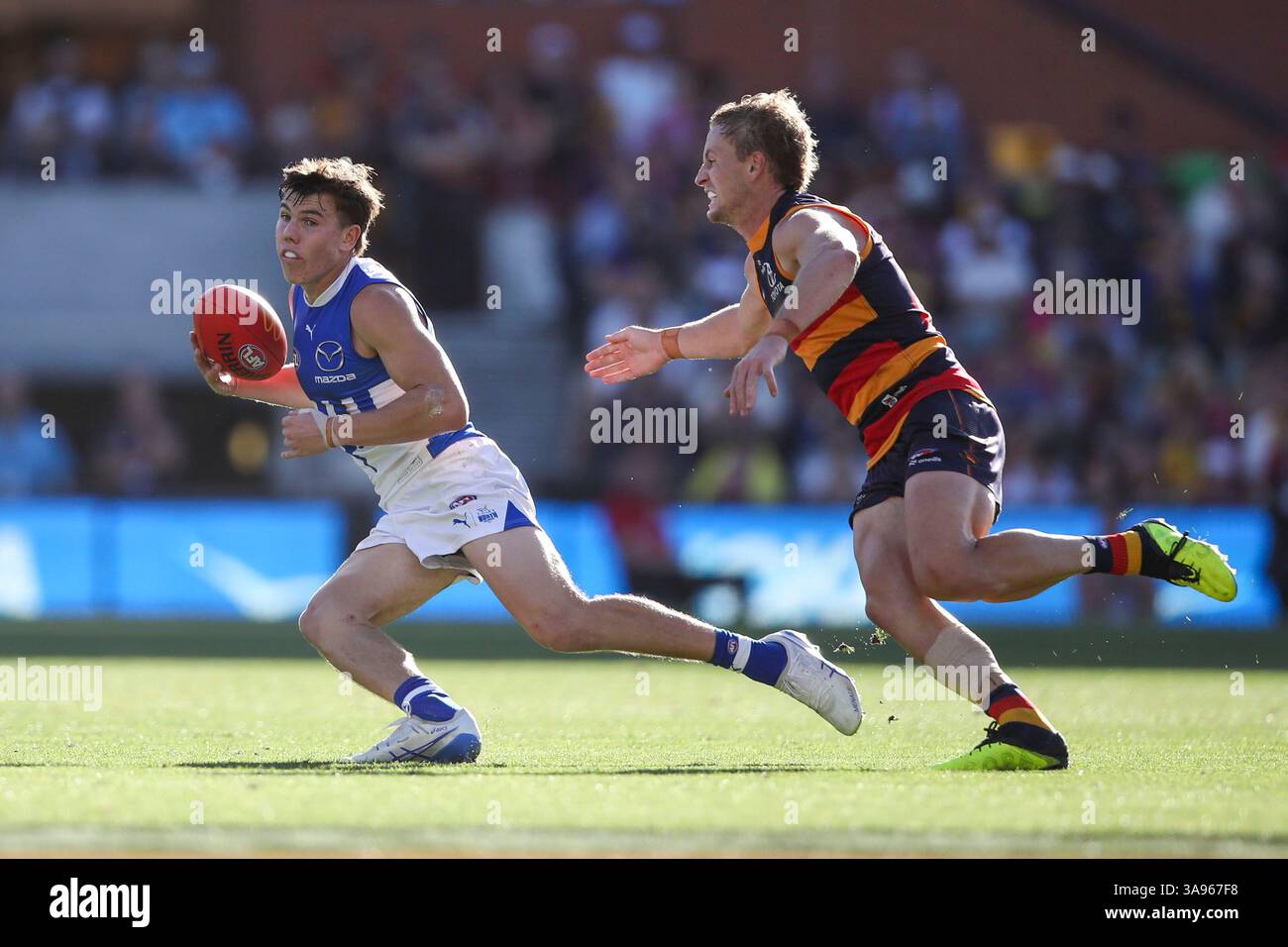 Finn O'Sullivan of North Melbourne evades Jordan Dawson of the Crows ...
