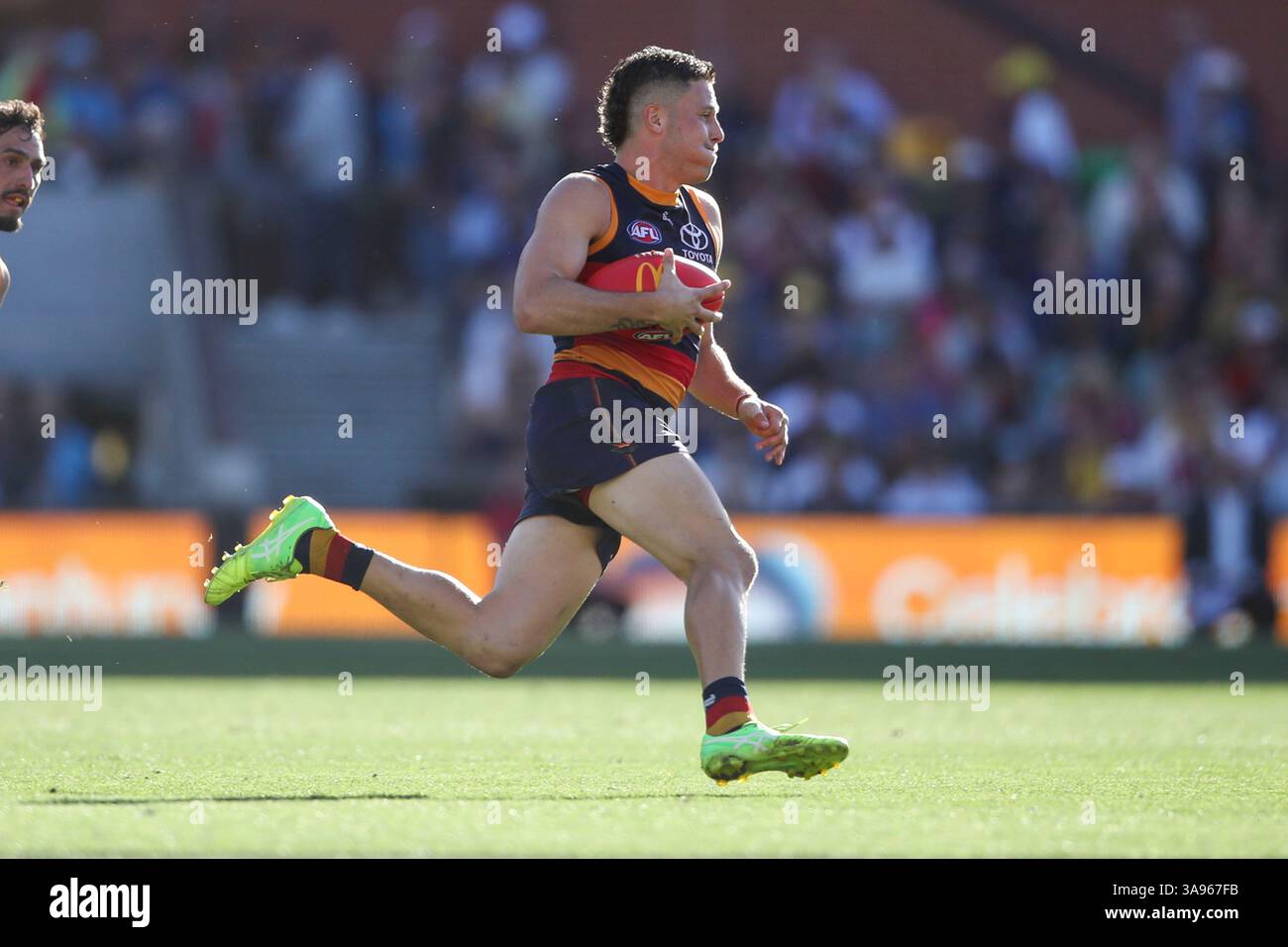 Jake Soligo of the Crows during the AFL Round 3 match between the ...