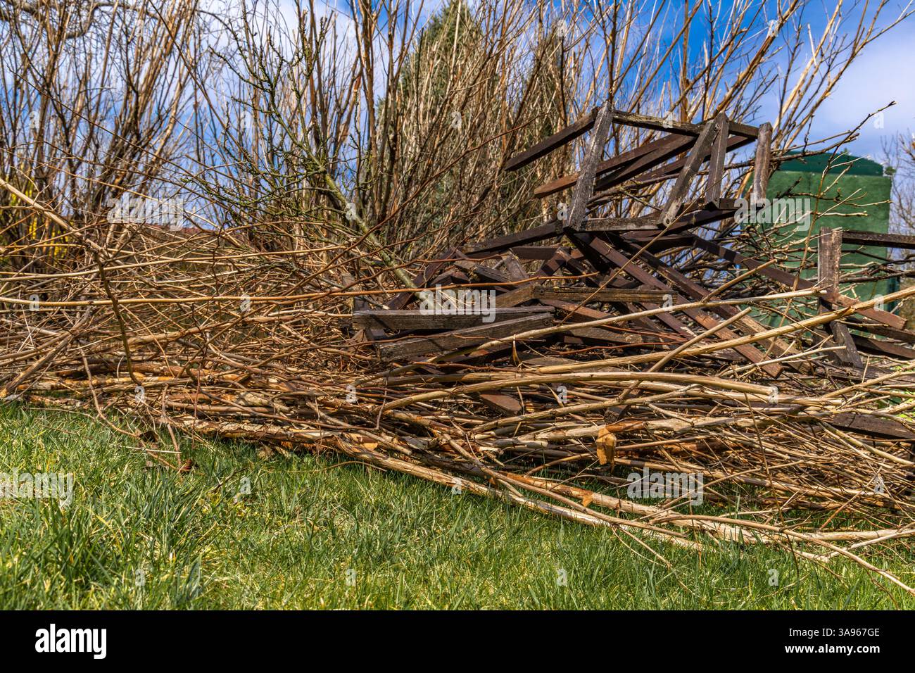 Branches cut from trees in the garden, tidying up in the orchard ...