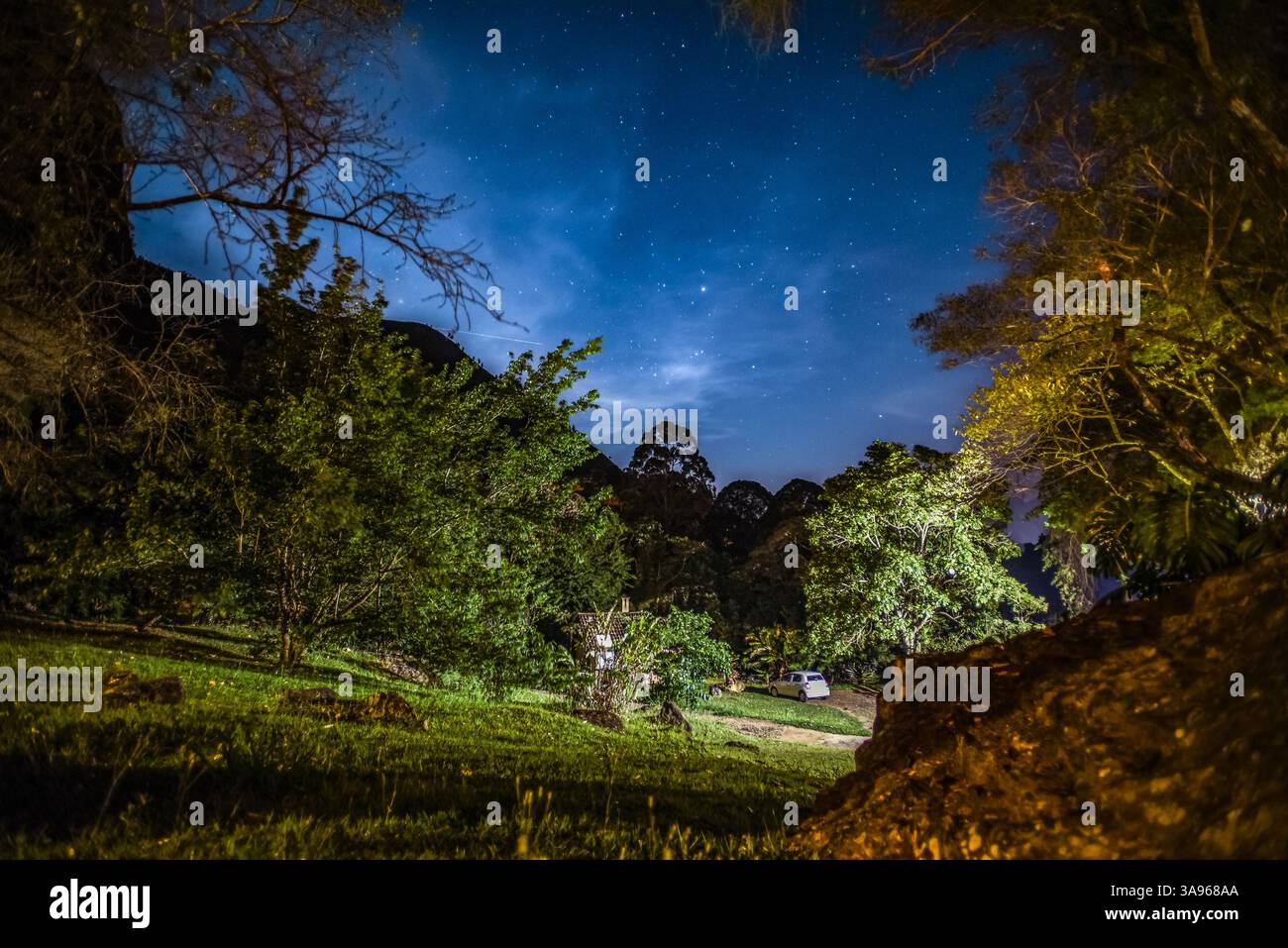 Starry Night Over Countryside Trees in Brazil Stock Photo - Alamy