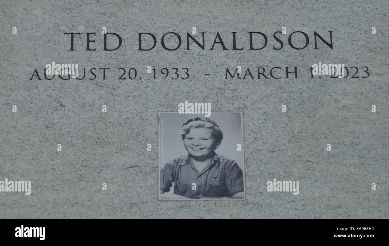 Los Angeles, California, USA 28th March 2025 Child Actor Ted Donaldson ...