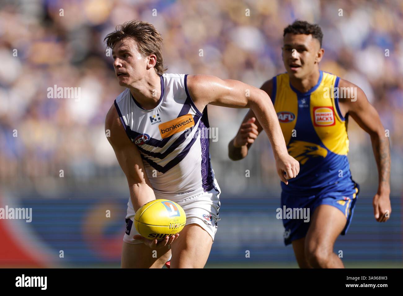 Caleb Serong of the Dockers handballs during the AFL Round 3 match ...