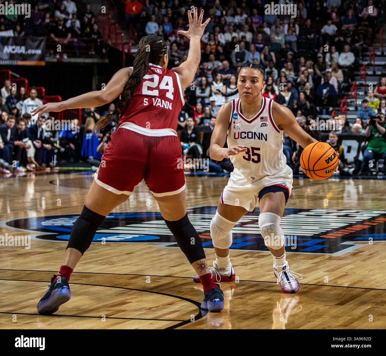 Azzi fudd hi-res stock photography and images - Alamy