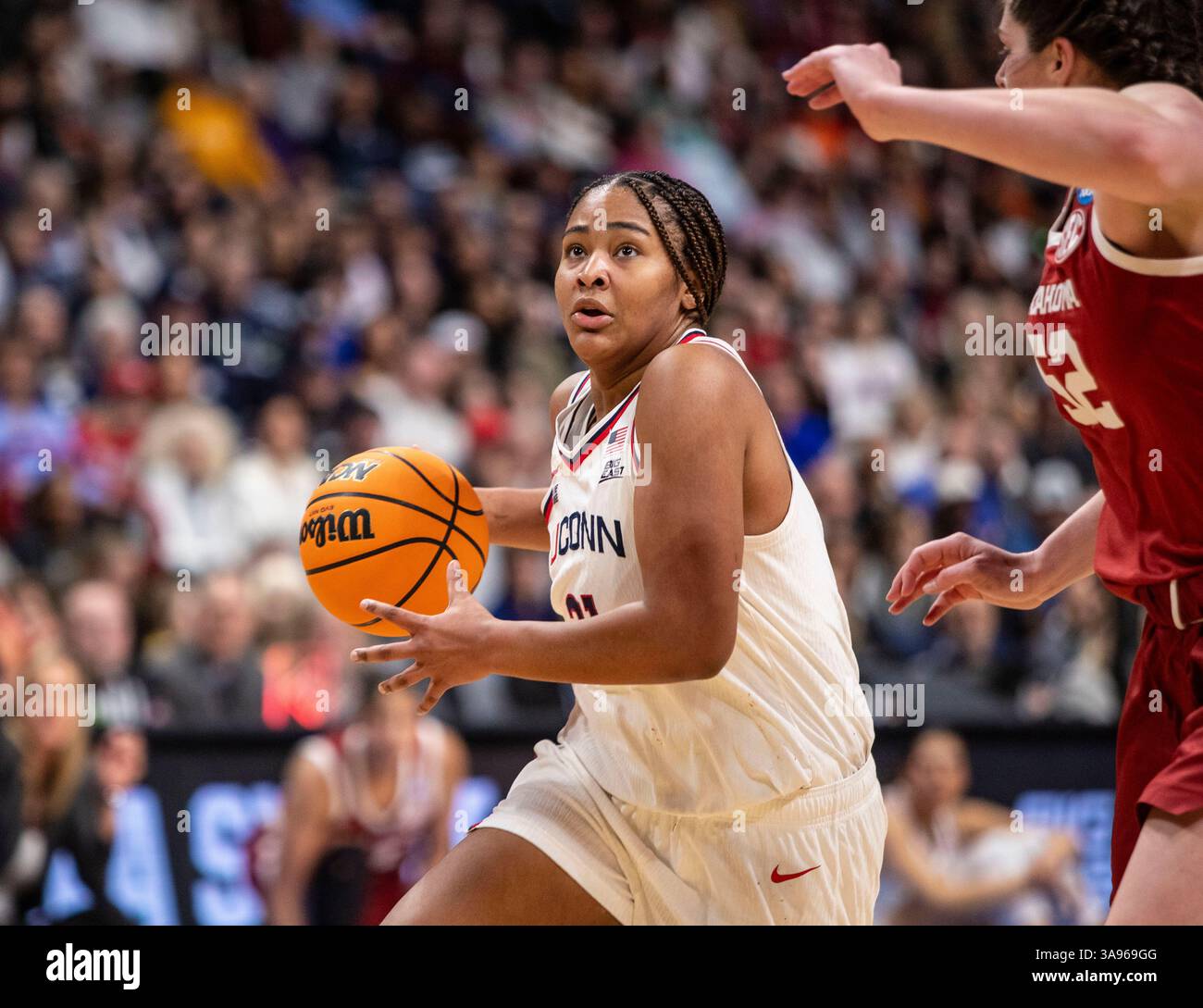 2025 0291 jpg hi-res stock photography and images - Alamy