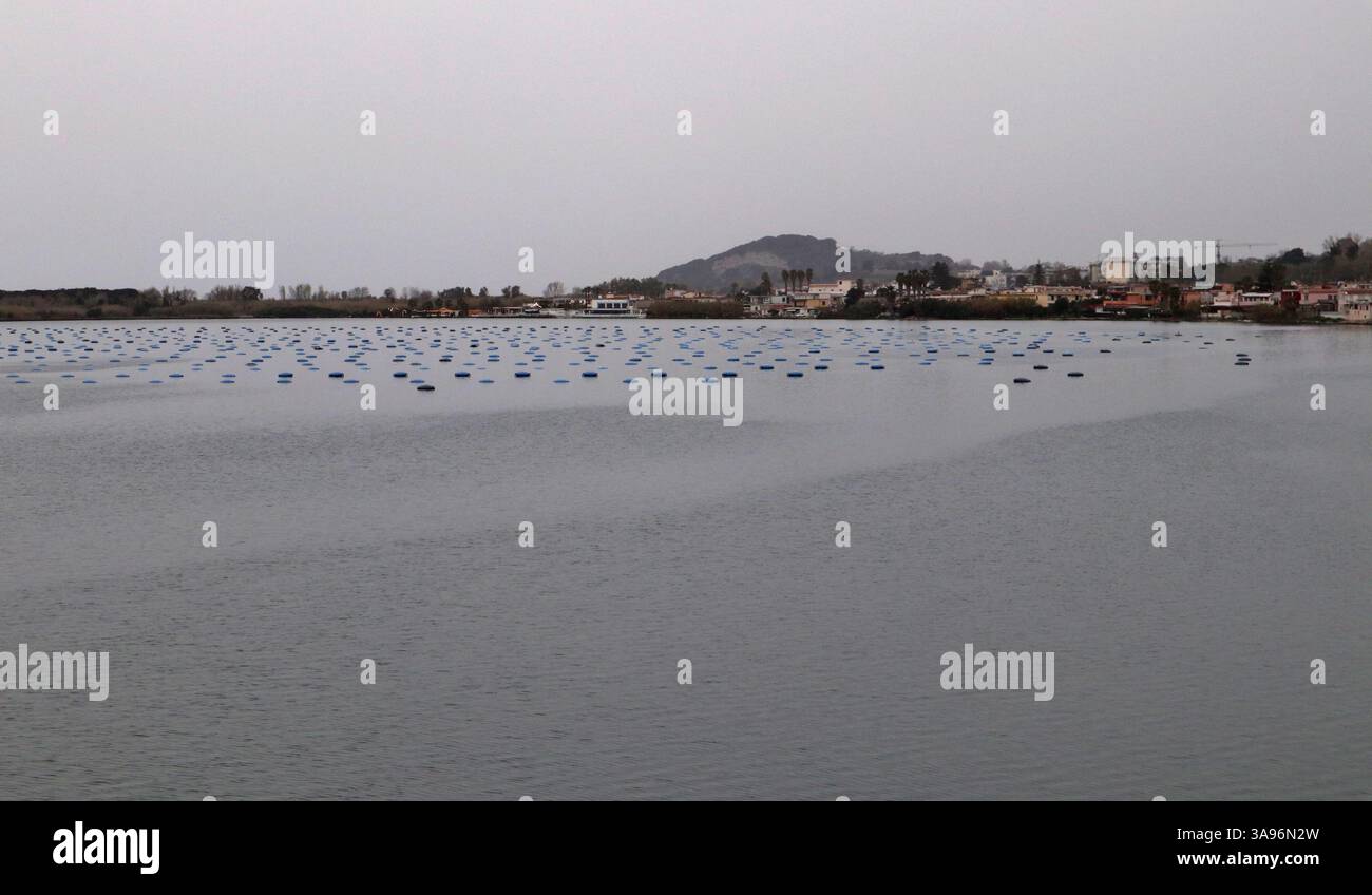 Parco del lago di primavera hi-res stock photography and images - Alamy