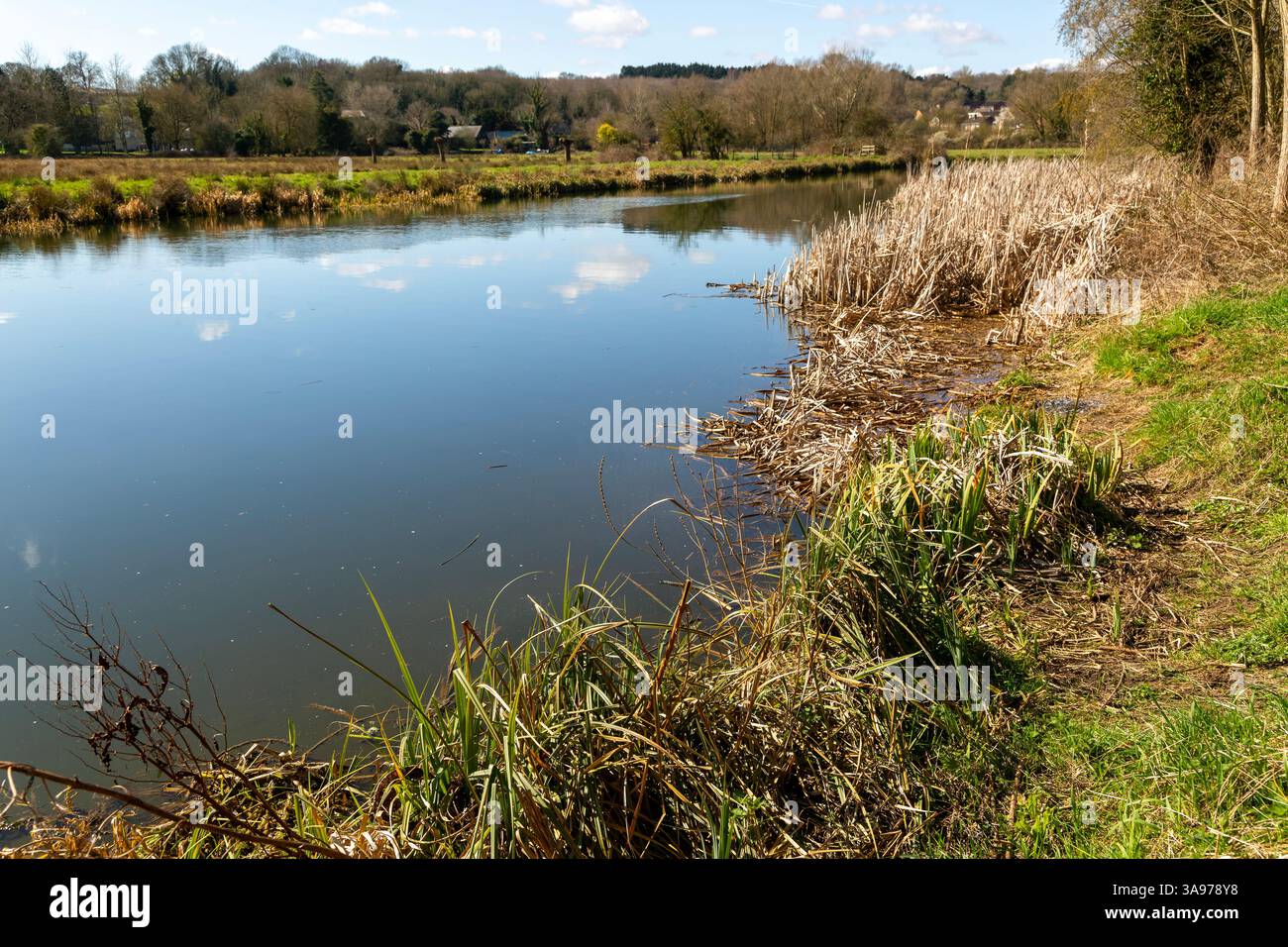 Landscape view of water meadows on flood plain of River Stour, Sudbury ...