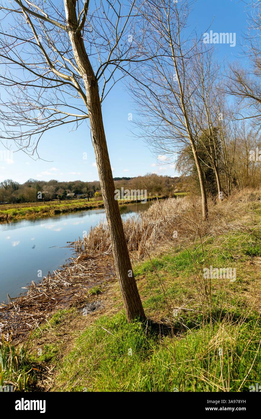 Landscape view of water meadows on flood plain of River Stour, Sudbury ...