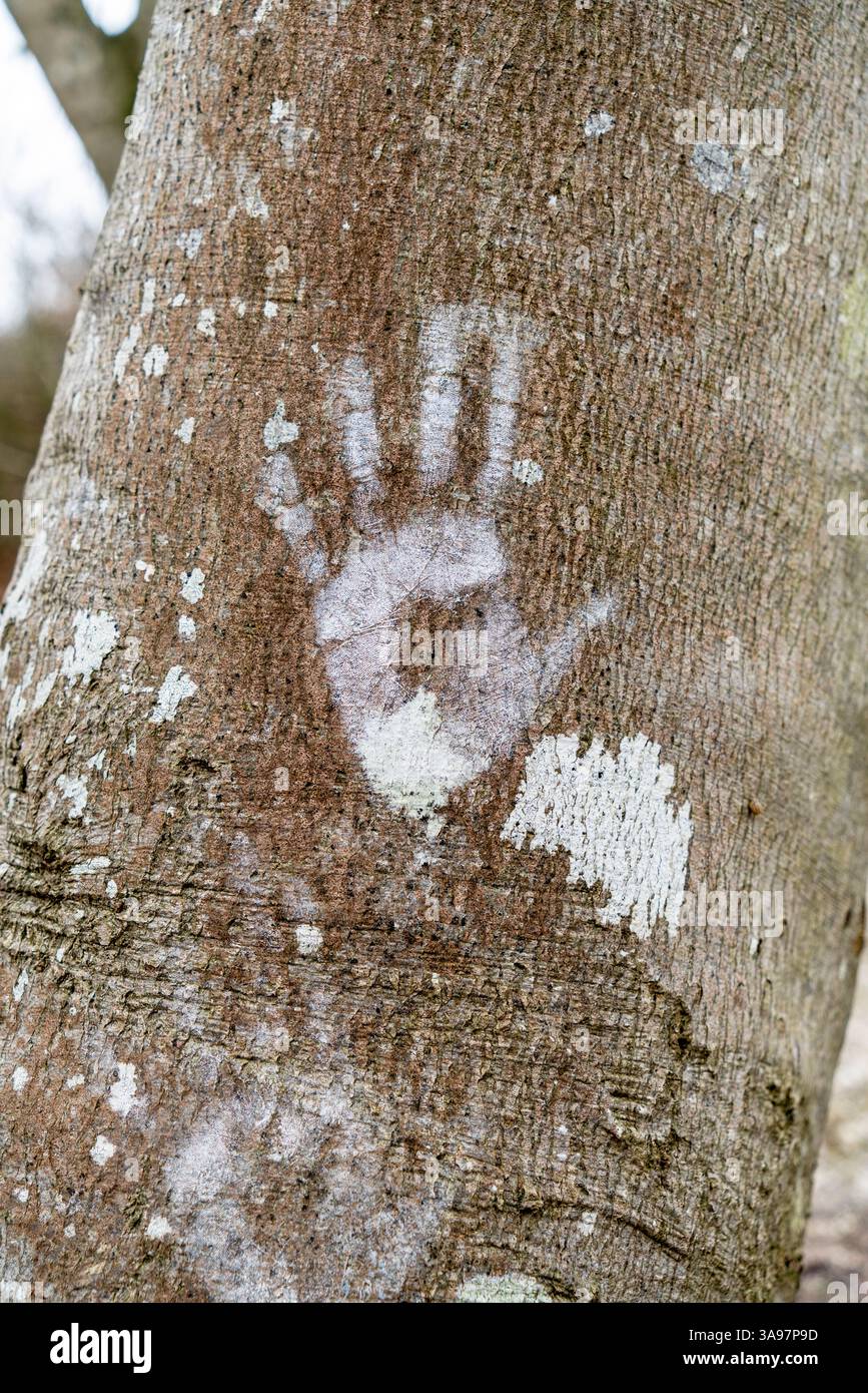 Chalk handprint on tree Stock Photo - Alamy