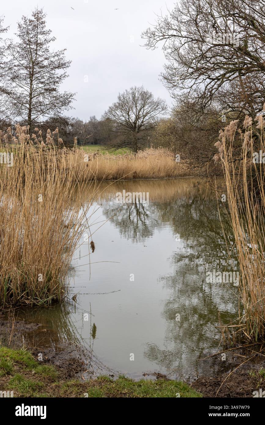 Corsham Park was designed and landscaped by Lancelot 'Capability' Brown ...