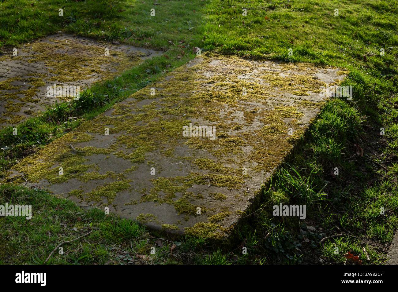 Moss covering grave markings hi-res stock photography and images - Alamy