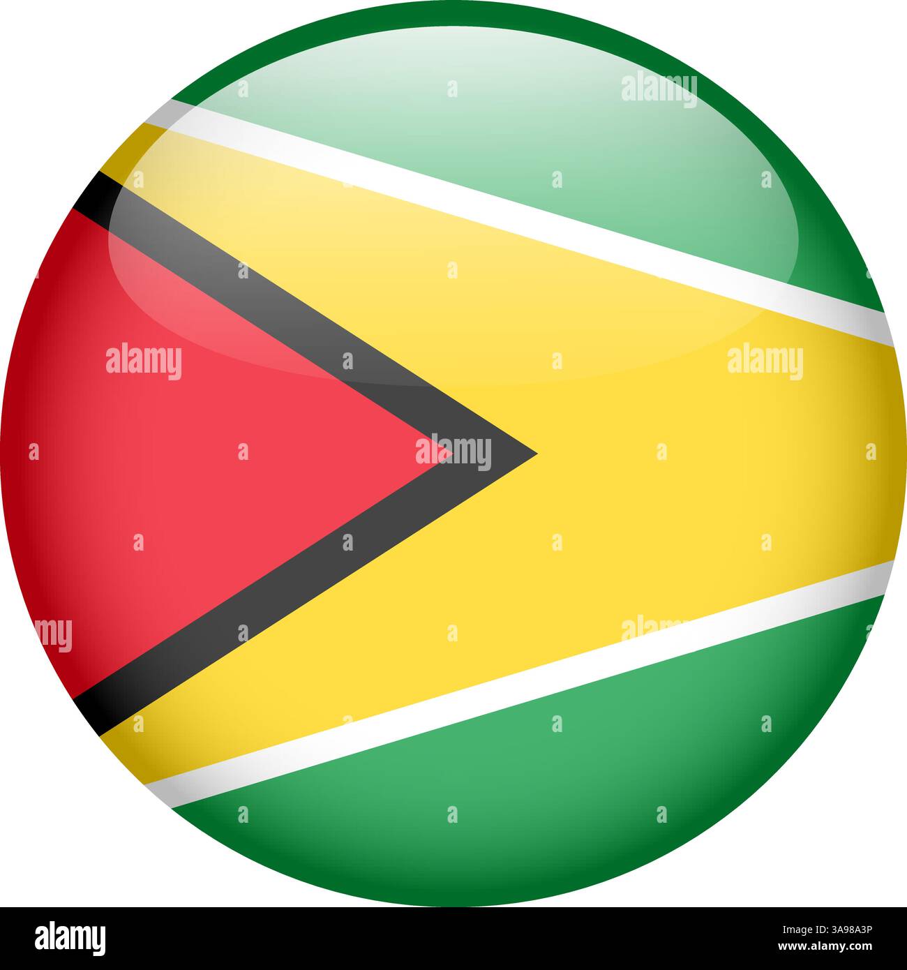 flag of Guyana, button round glossy icon Stock Vector Image & Art - Alamy