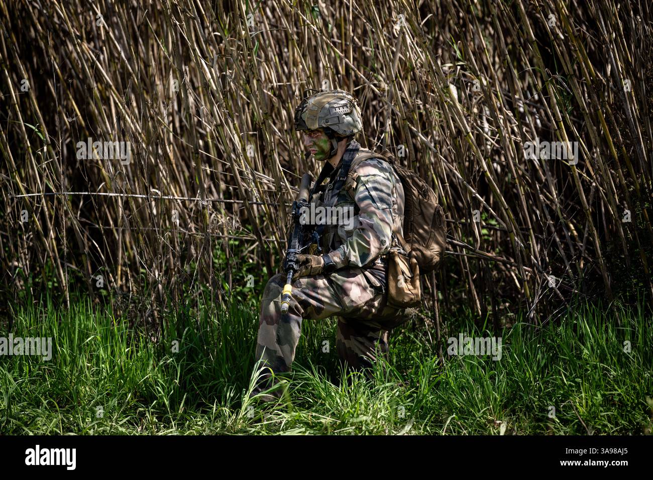 The 21st regiment d'infanterie de marine (21 RIMa) seen in action ...