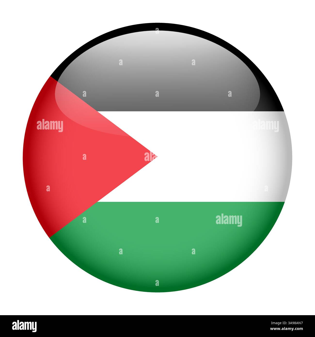 flag of Palestine, button round glossy icon Stock Vector Image & Art ...
