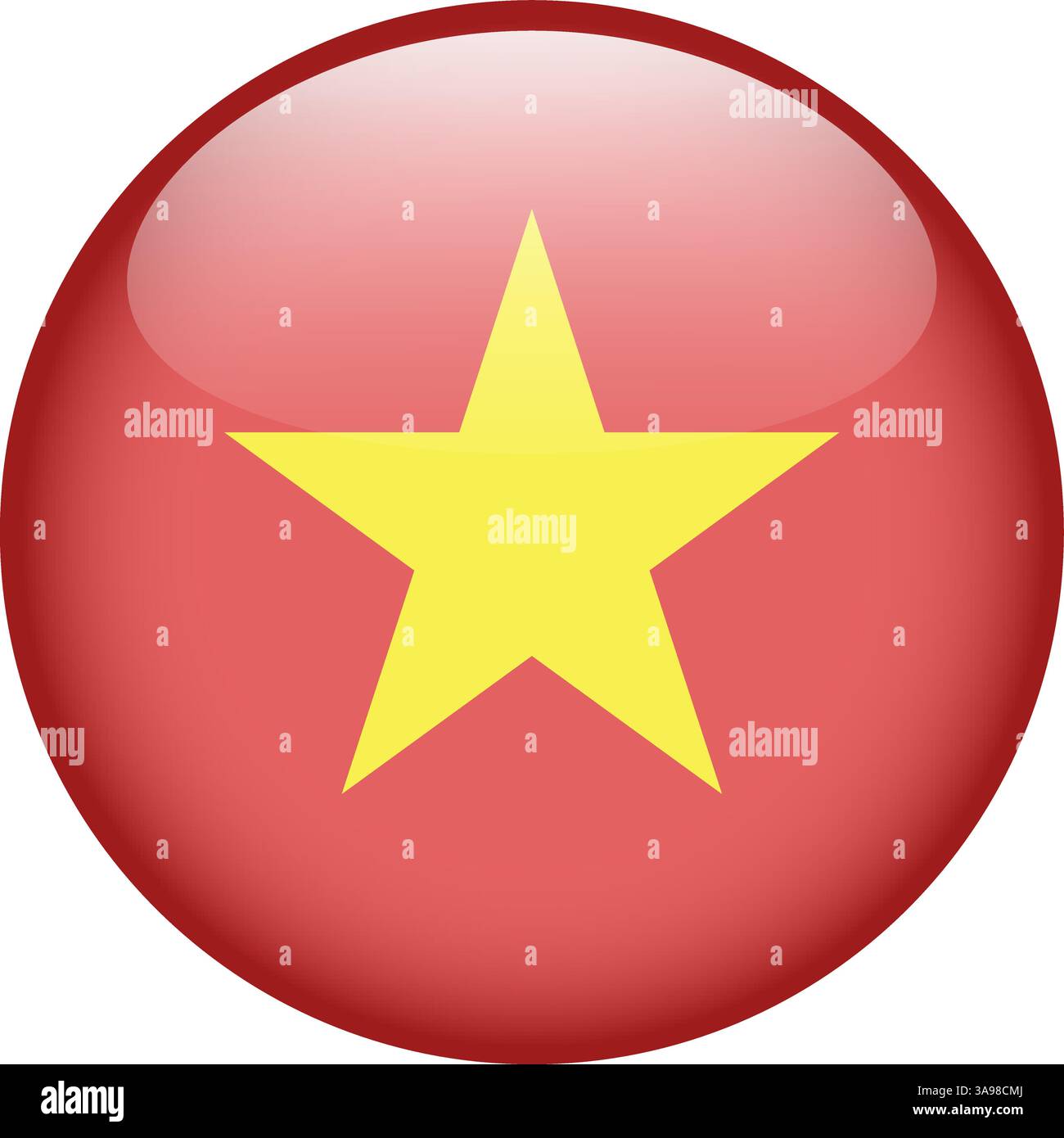 flag of Vietnam, button round glossy icon Stock Vector Image & Art - Alamy