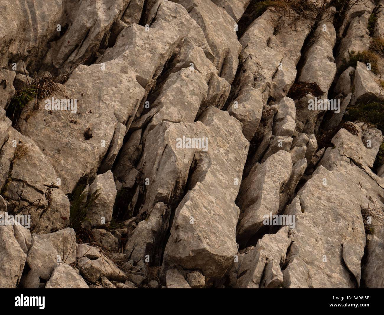 Alpine discovery hi-res stock photography and images - Alamy