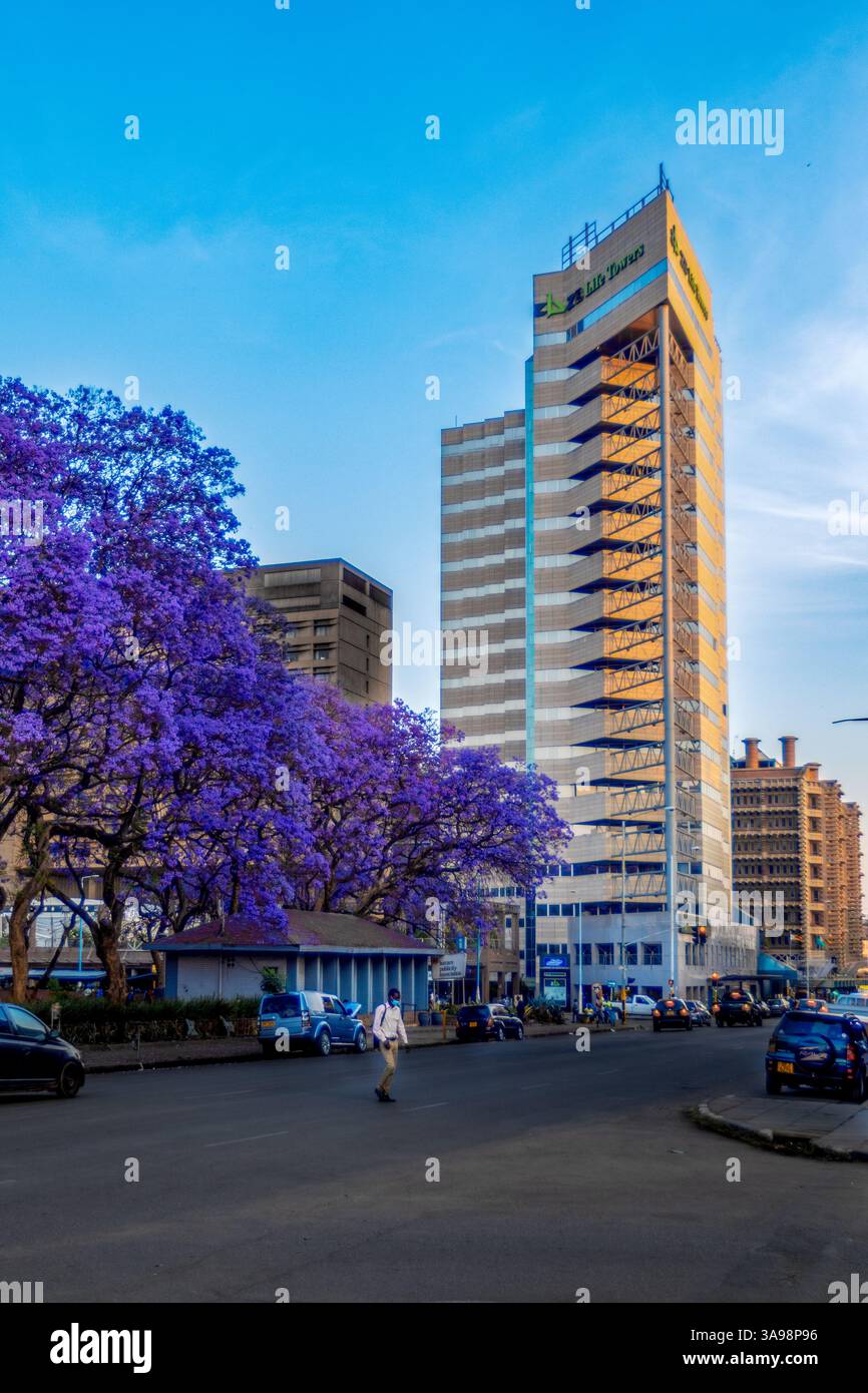 Zb life tower harare hi-res stock photography and images - Alamy