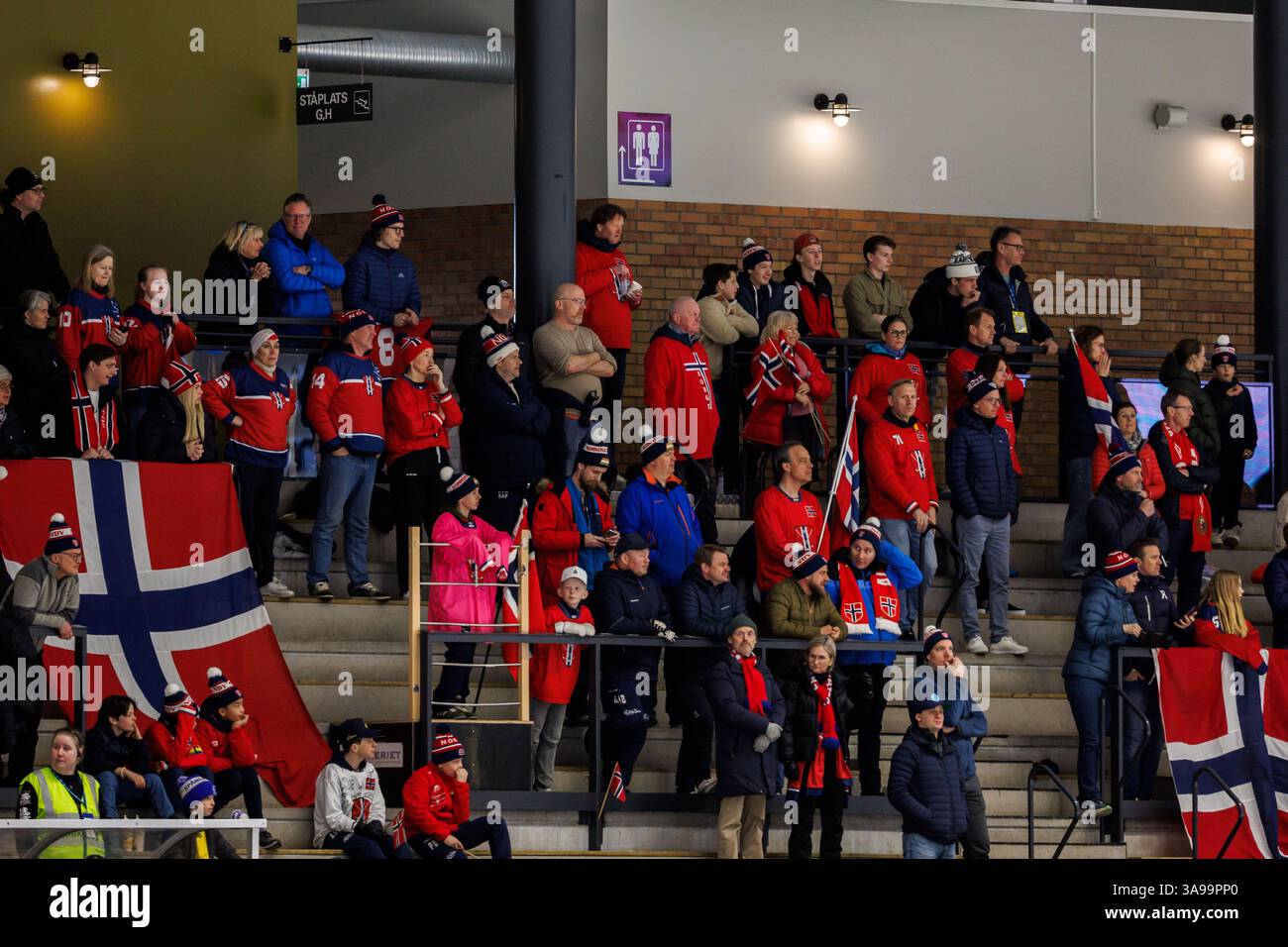 Fans of, Norway. , . during the FIB 2025 Women's Bandy World ...