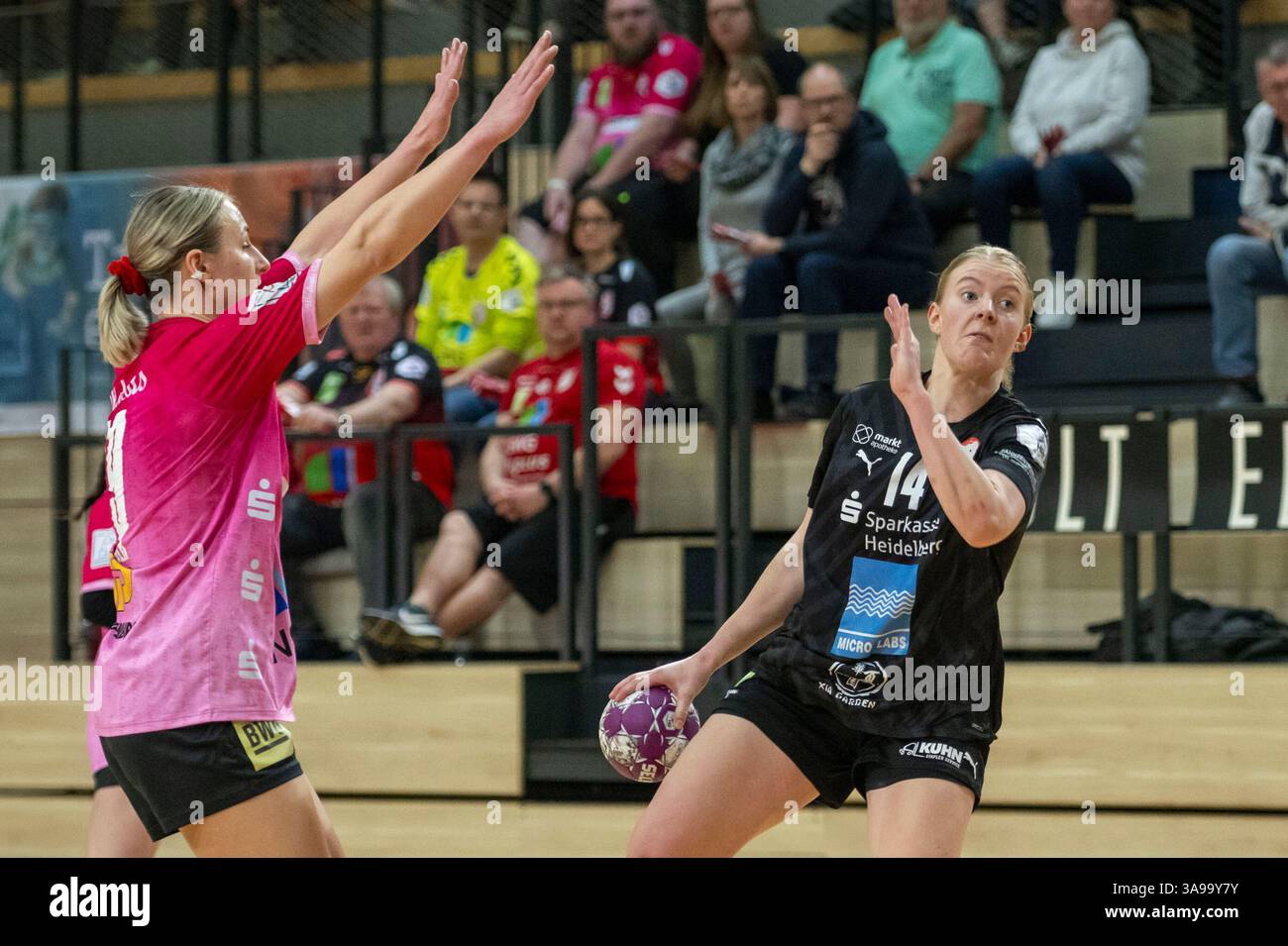 Halle, Deutschland 29. März 2025: 2.HBL - Frauen - 2024/2025 - SV Union ...