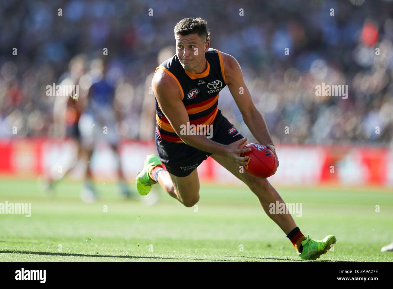Adelaide, Australia. 30th Mar, 2025. Jake Soligo of the Crows during ...