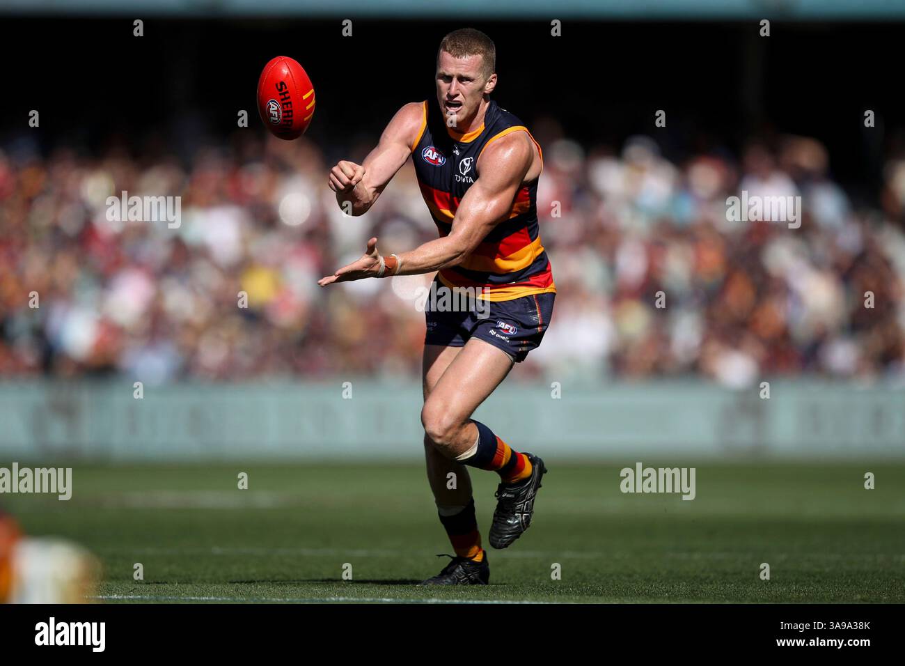 Reilly O'Brien of the Crows during the AFL Round 3 match between the ...