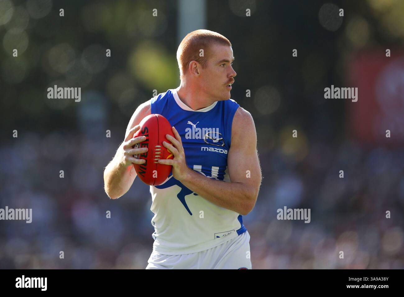 Adelaide, Australia. 30th Mar, 2025. Toby Pink of the Kangaroos during ...