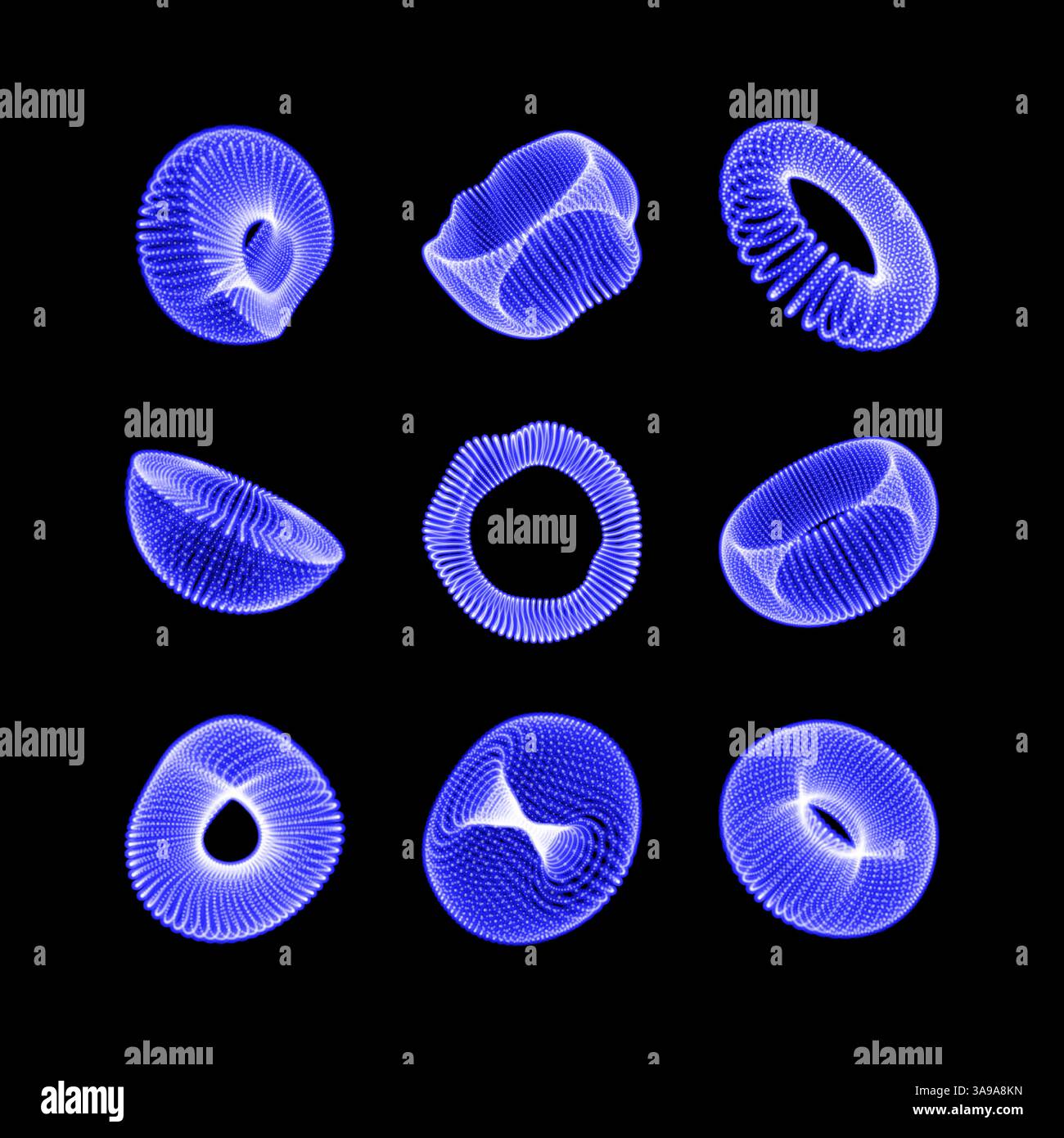 Geometric shape for design. The torus consisting of points. The half ...