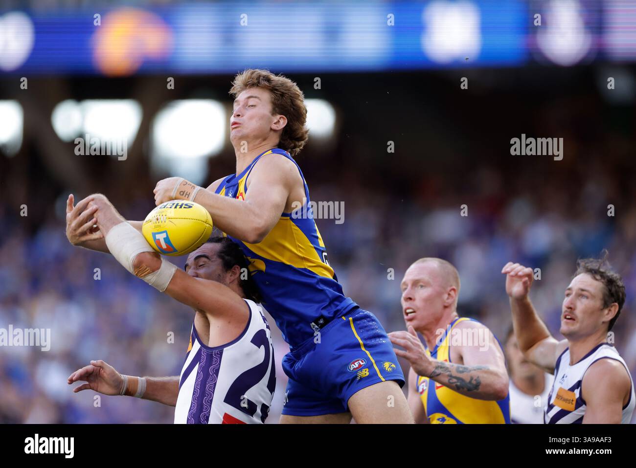 Perth, Australia. 30th Mar, 2025. Archer Reid of the Eagles and Alex ...
