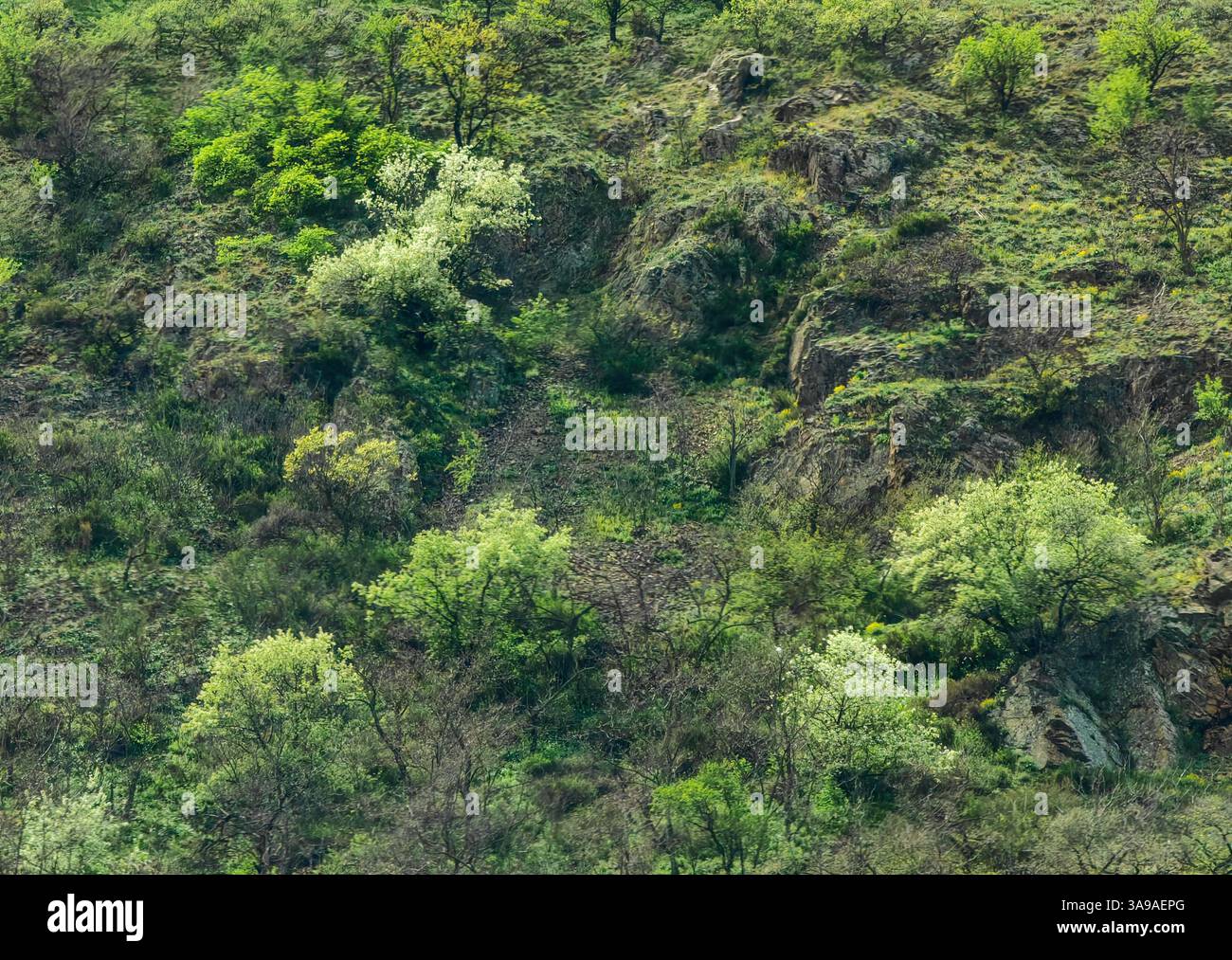 Environmental harmony landscape hi-res stock photography and images - Alamy