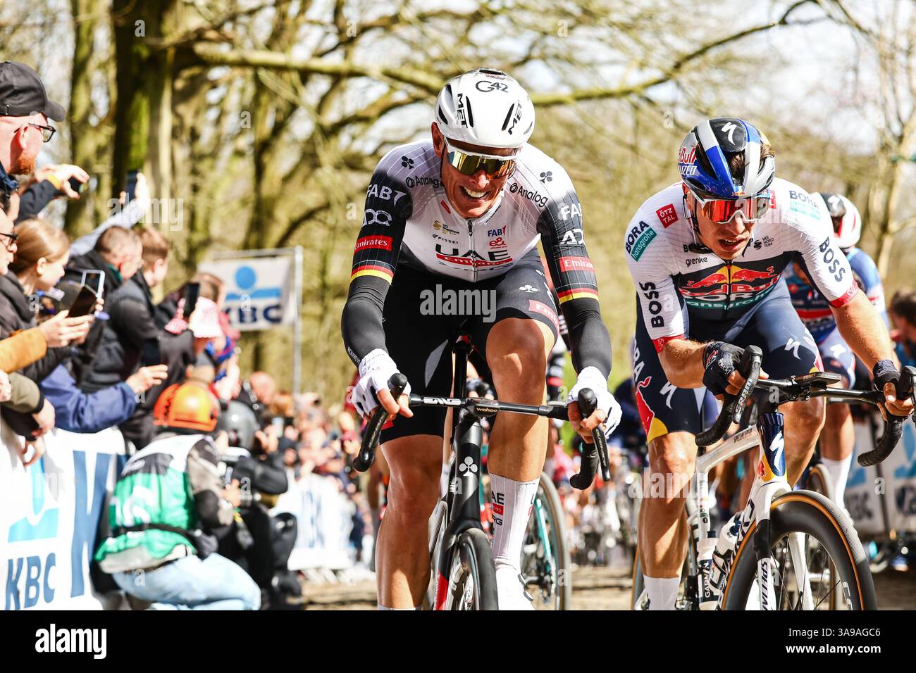 Wevelgem, Belgium. 30th Mar, 2025. German Nils Politt of UAE Team ...