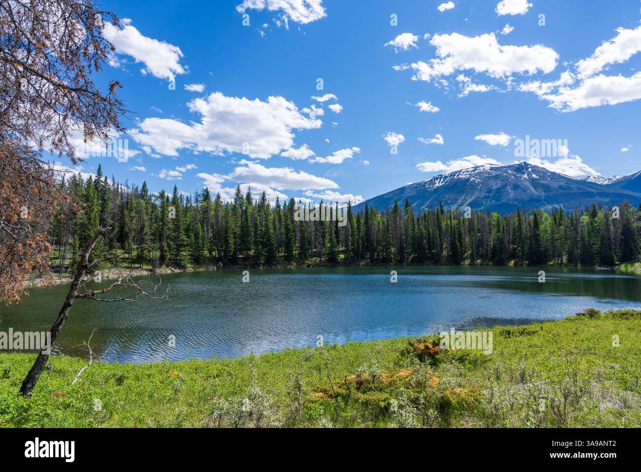 Twin Lakes in Jasper National Park, Alberta, Canada. Breathtaking ...