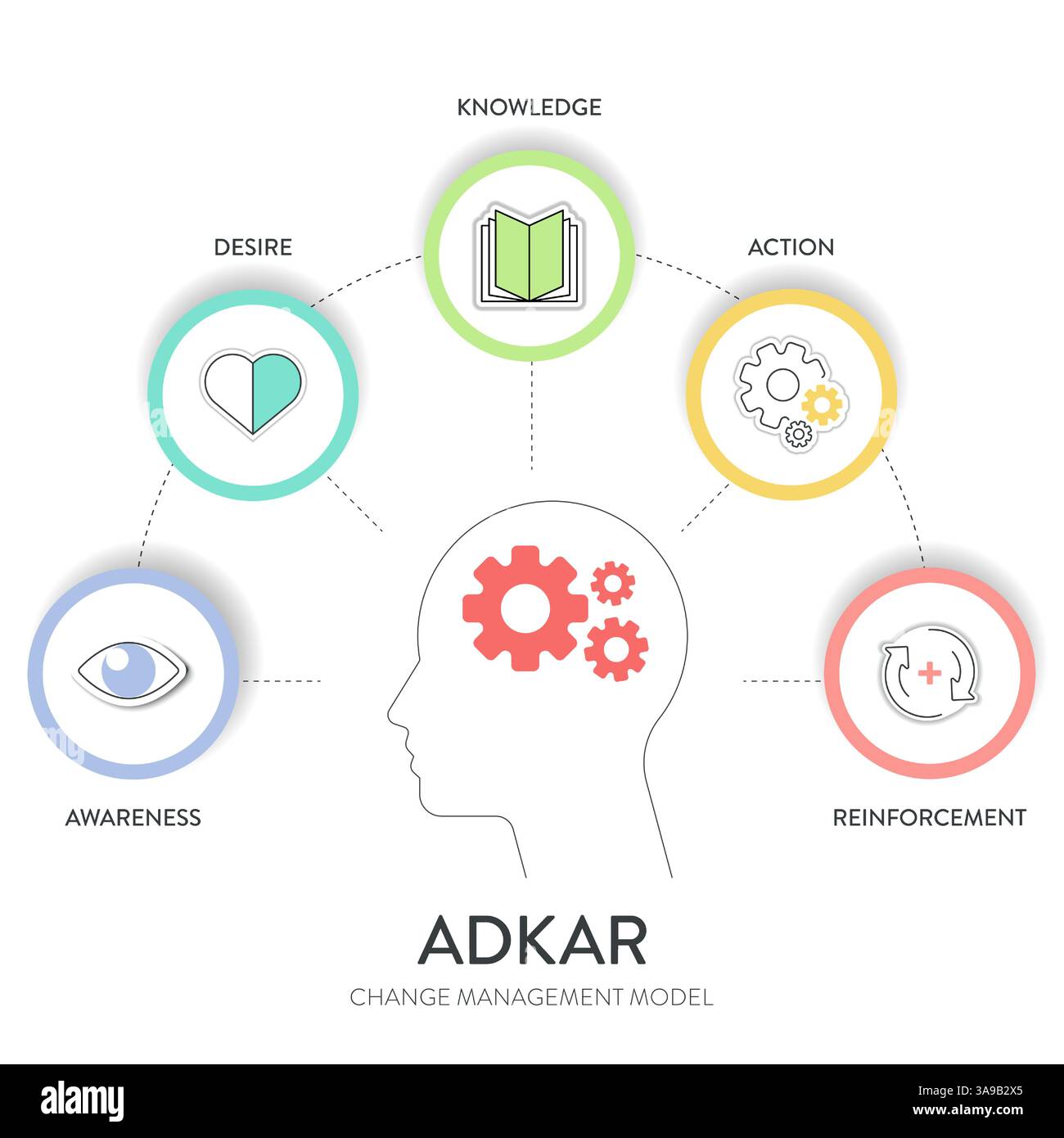 ADKAR framework diagram chart infographic with icon vector for banner ...