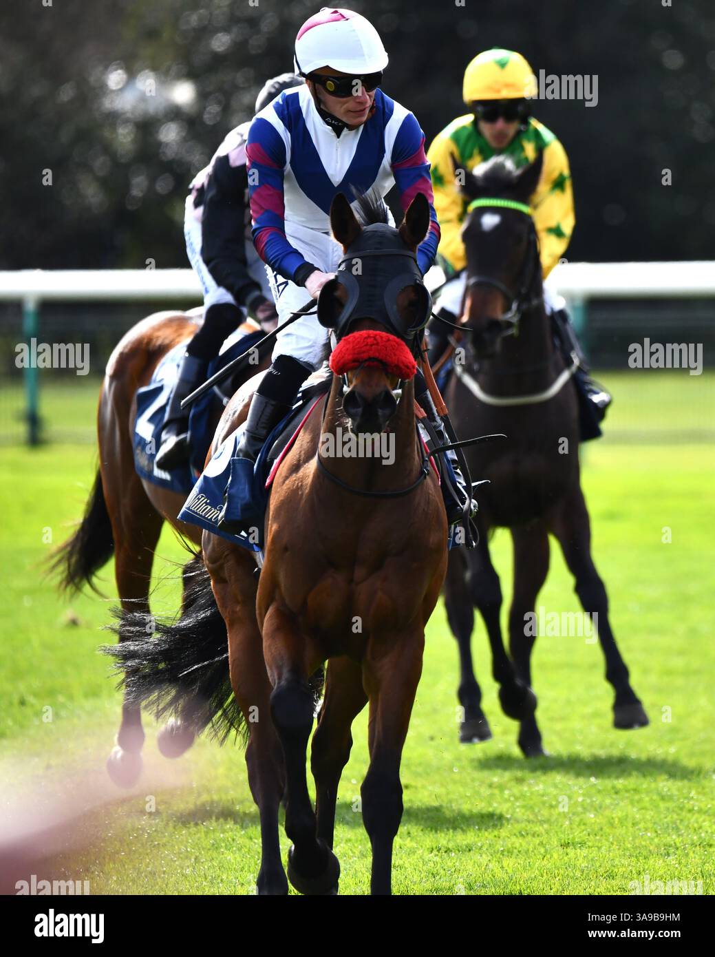 racehorse Archibald Ives and jockey Jason Watson Stock Photo - Alamy