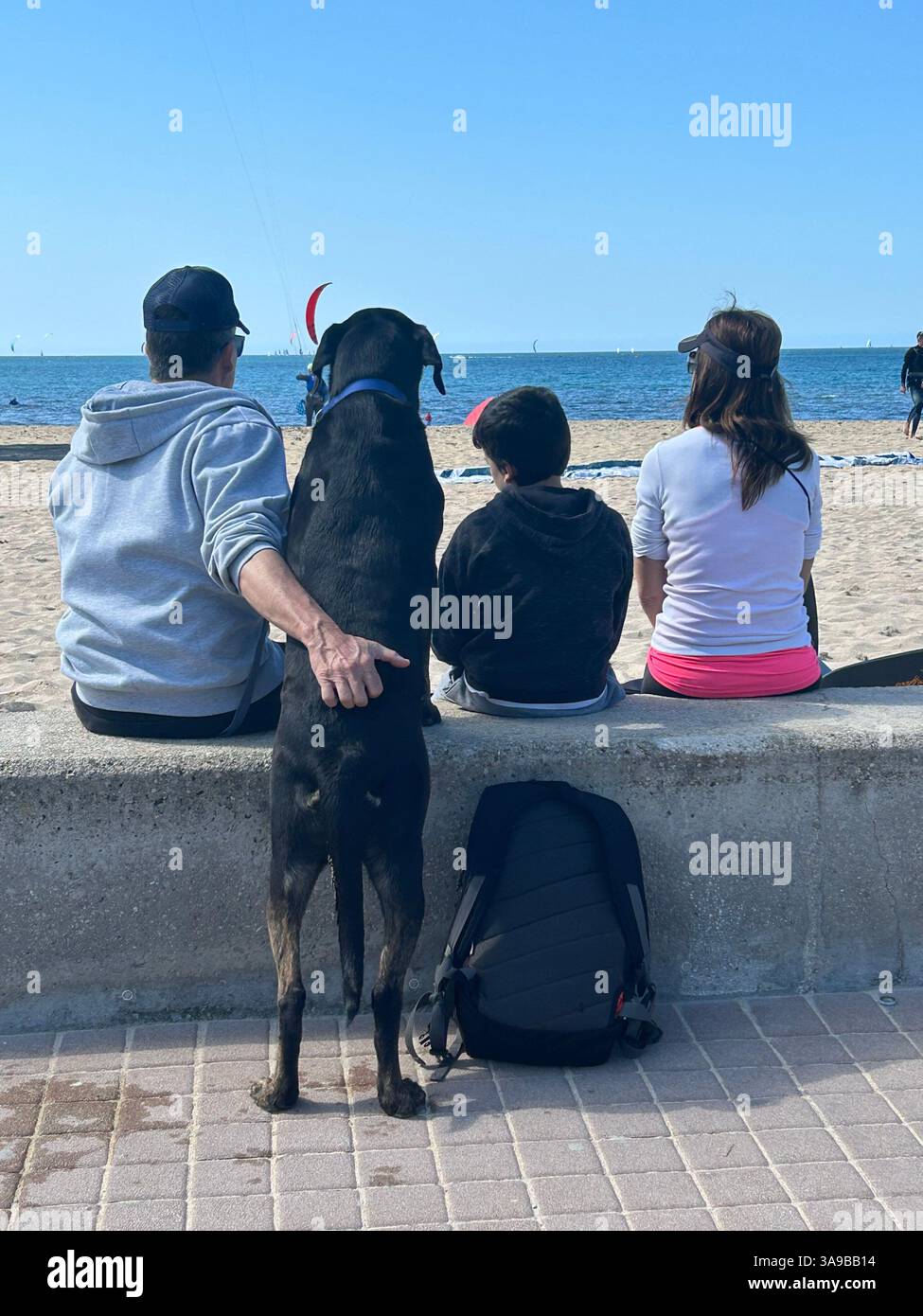 A family and their dog watching the kite-surfing at the 54th Trofeo ...