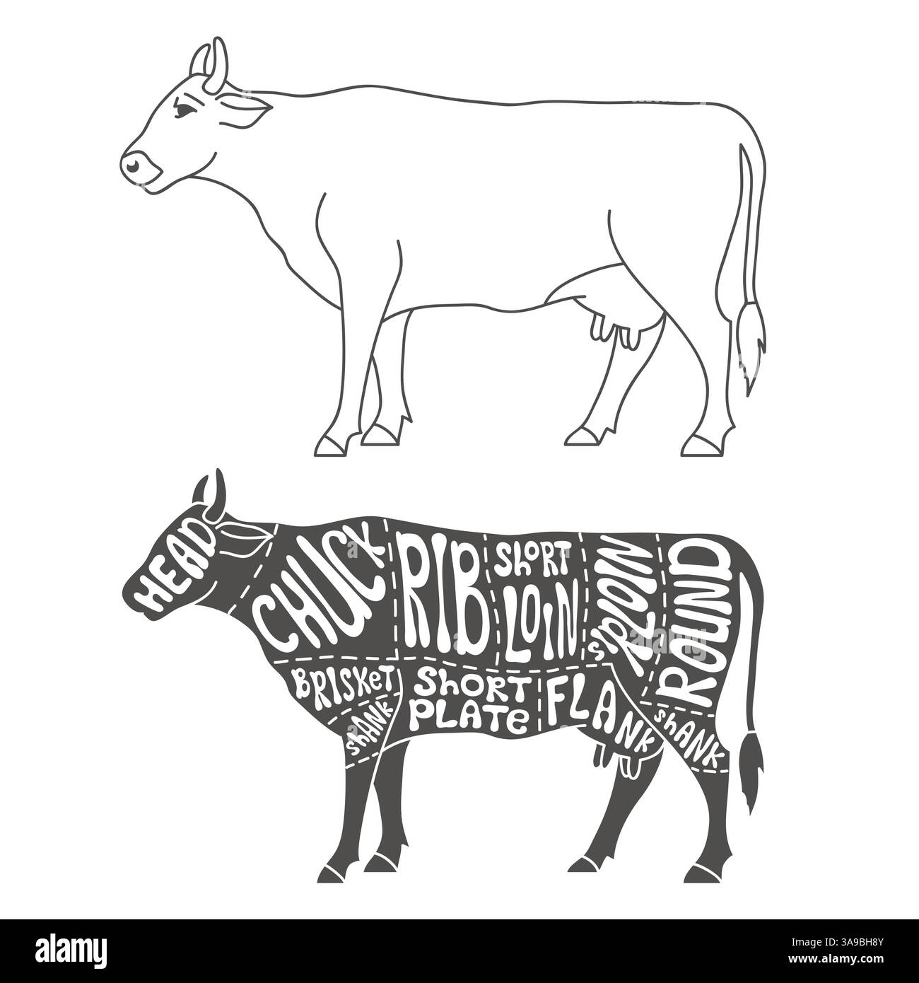 Meat diagram vector vectors hi-res stock photography and images - Alamy