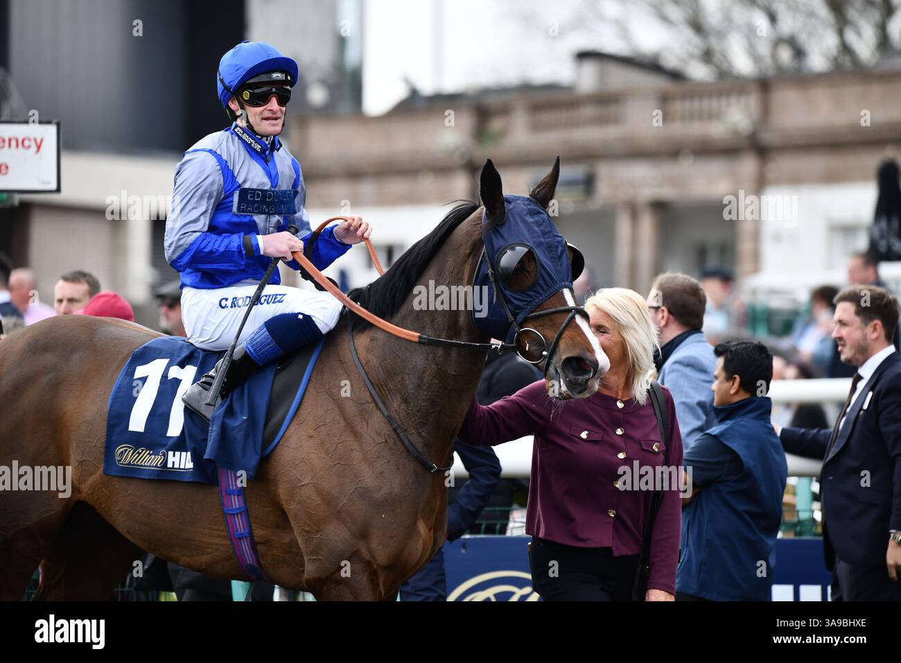 racehorse Arthur's Realm and jockey Callum Rodriguez Stock Photo - Alamy